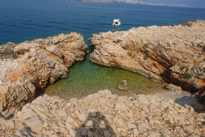 PUBLIC 5h Plavnik Island swimming & snorkeling Half-day Boat trip - The Itinerary Breakdown: What to Expect