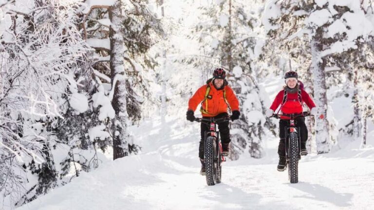 Pyhätunturi: Electric Fatbike Tour in Finnish Lapland - The Overall Value