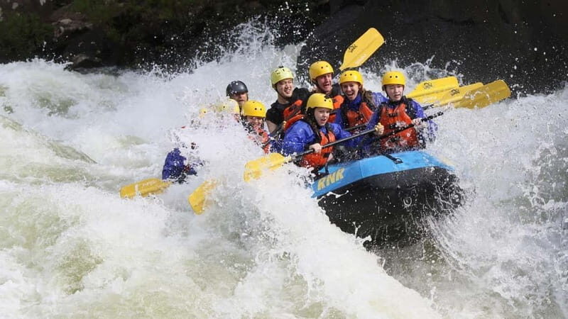 Rafting Tour, Transfer & Combo Options with Veg Lunch Option - Practical Details and Value