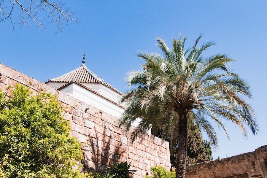 Palm trees beside Alcazar Seville exterior wall