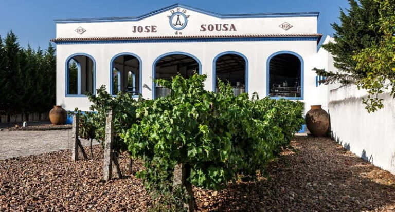 Reguengos de Monsaraz: José de Sousa Winery Tour and Tasting - Final Thoughts: Who Will Enjoy This Tour?