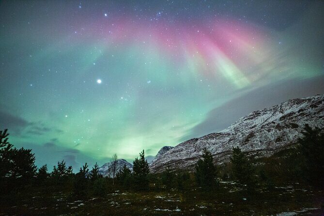 Reindeer Feeding and Sledding, Sami Storytelling Night Tour - Authentic Reviews to Consider