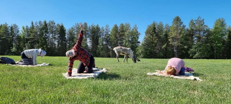 Reindeer yoga in Kuusamo - Who Is This Tour Best Suited For?