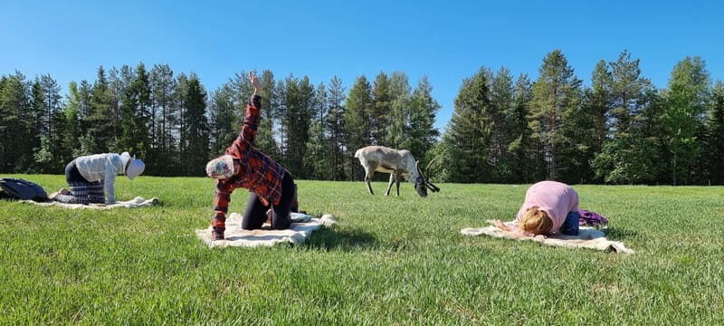 Reindeer yoga in Kuusamo - Who Is This Tour Best Suited For?