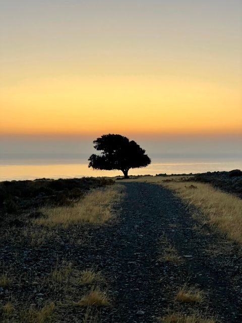 Rhodes: Pefkos-Navarone Bay, the magic of sunrise - Practical Aspects: Planning Your Sunrise Hike