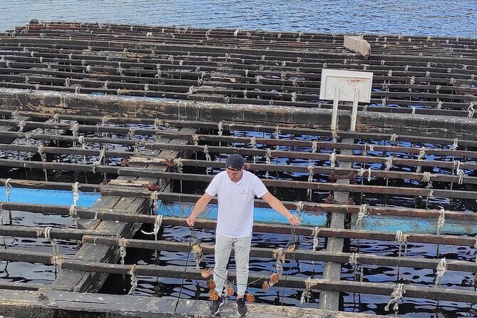 Rias Baixas PRIVATE Shore tour - Who Will Love This Tour?