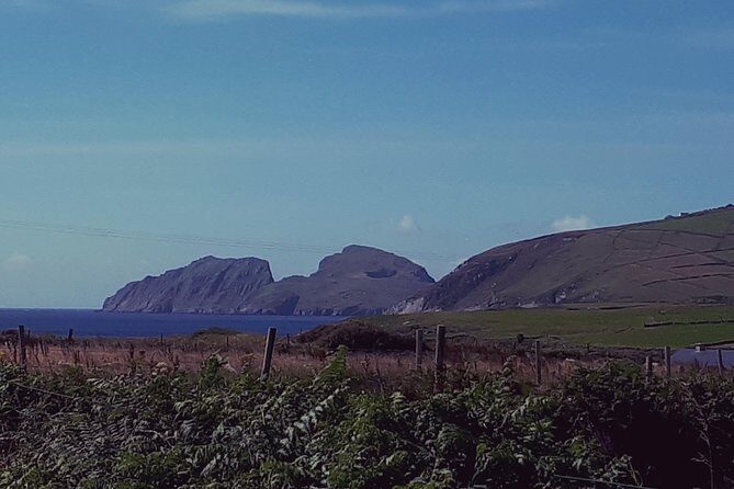 Ring of Kerry & Skellig Ring - Private Mini Bus Tour - Who Is This Tour Best For?