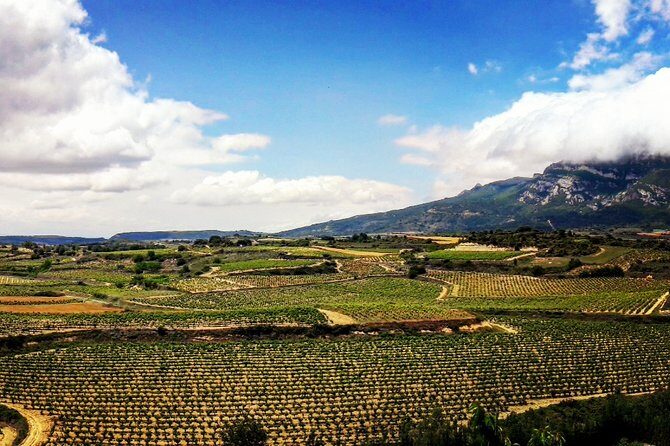 Rioja's Top wines tasting private tour - Who Would Love This Tour?