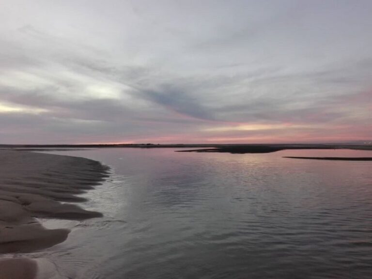 Romantic Sunset Tour in the Ria Formosa from Faro - The Value of the Experience