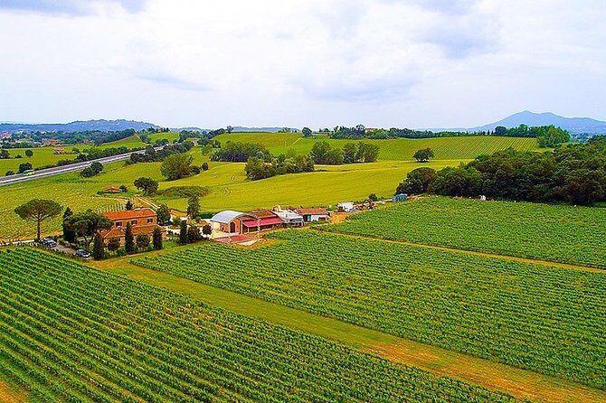 Romantic Vespa Tour and Wine Tasting - Frequently Asked Questions