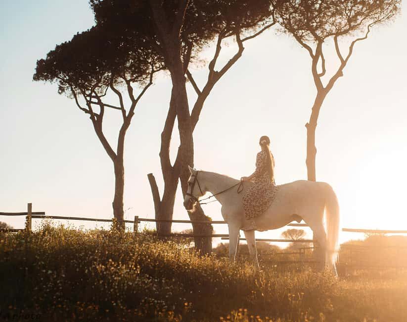 Rome: Horseback Riding Experience in Castel Fusano - What to Expect: The Route and Experience
