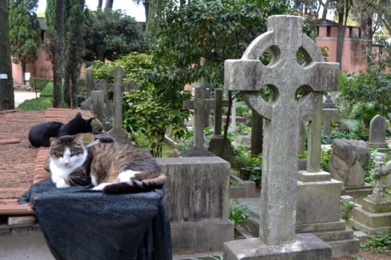 Rome: Testaccio Uncovered 4-Hour Walking Tour - FAQ