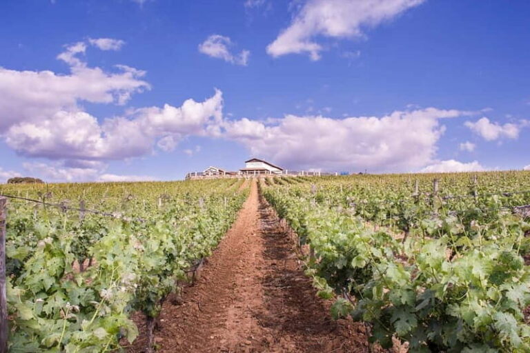 Ronda: Winery Tour with Wine Tasting and Tapas - The Real Value: Is It Worth It?