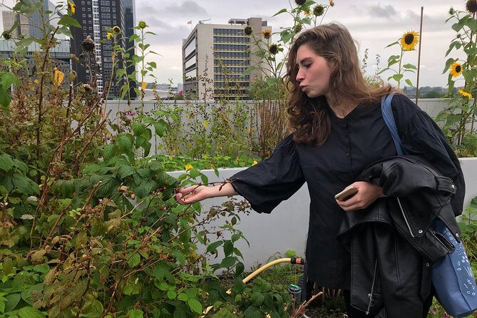 Rotterdam Travel to the Future Walking Tour - The Value of This Tour