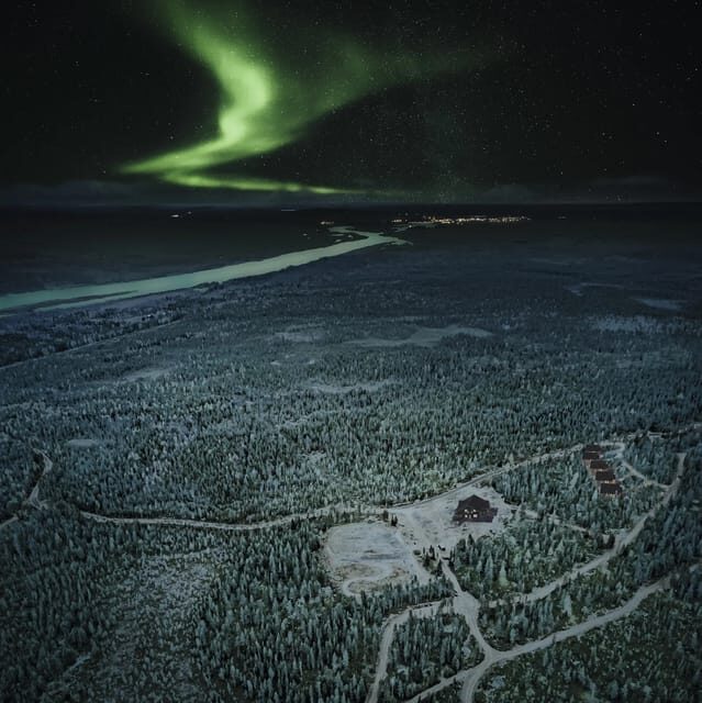 Rovaniemi: Aurora Hunting Tour in the Forest with Hot Drinks - Who Is This Tour Best For?