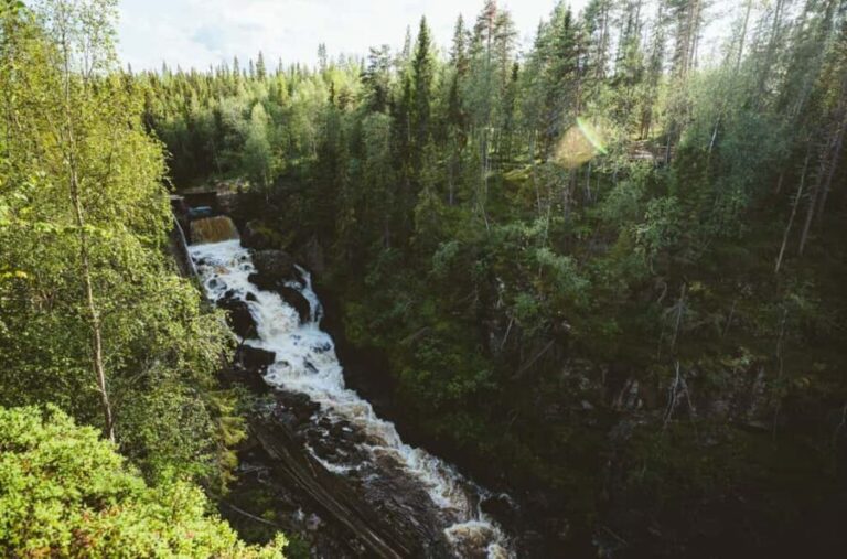 Rovaniemi: Auttiköngäs Waterfall Hike & Wilderness BBQ - Overview of the Tour Experience