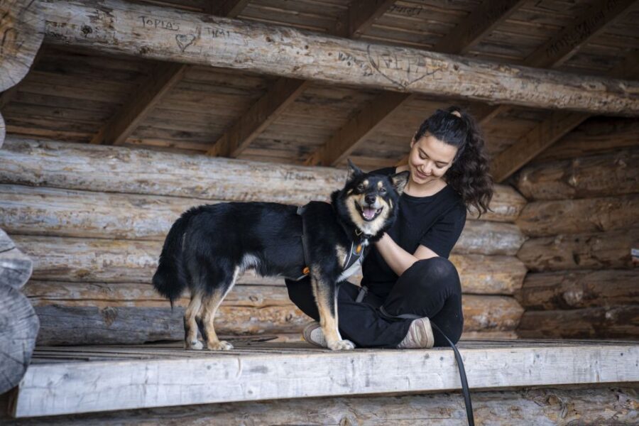 Rovaniemi: Hiking Experience with Lappish Dogs - Final Thoughts