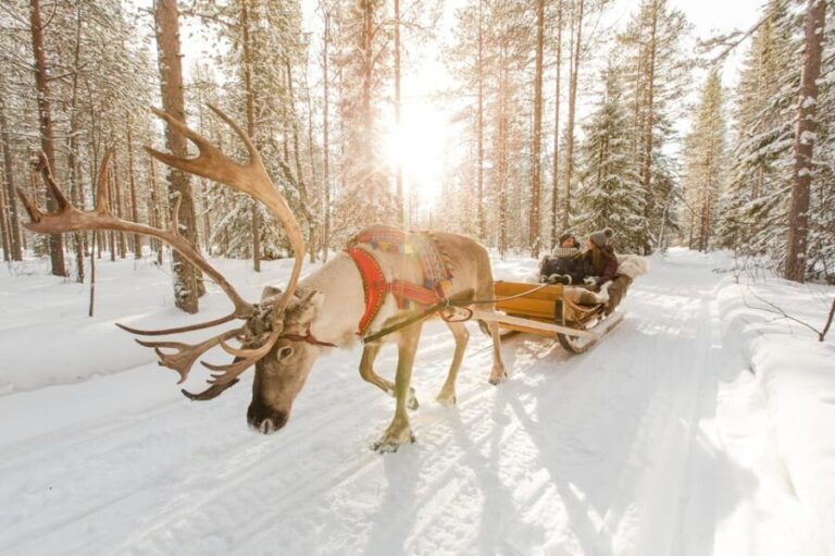 Rovaniemi: Husky and Reindeer farm with sleigh ride - FAQ
