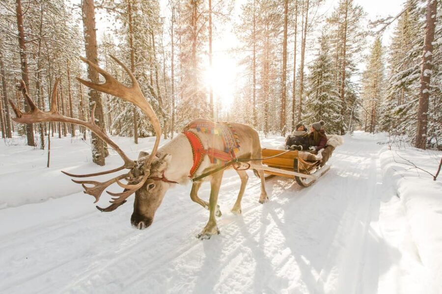 Rovaniemi: Husky and Reindeer farm with sleigh ride - FAQ
