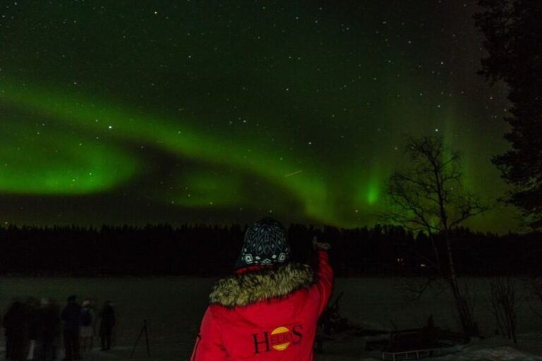 Rovaniemi: Northern Lights Hunting in Lappish old cottage - What Reviewers Loved and Noticed