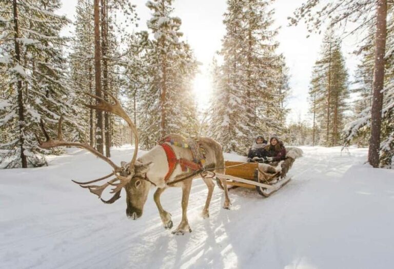 Rovaniemi: Santa Claus Village with Husky & Reindeer Ride - Reindeer Sleigh Ride: A Silent Journey
