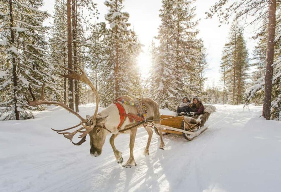 Rovaniemi: Santa Claus Village with Husky & Reindeer Ride - Reindeer Sleigh Ride: A Silent Journey