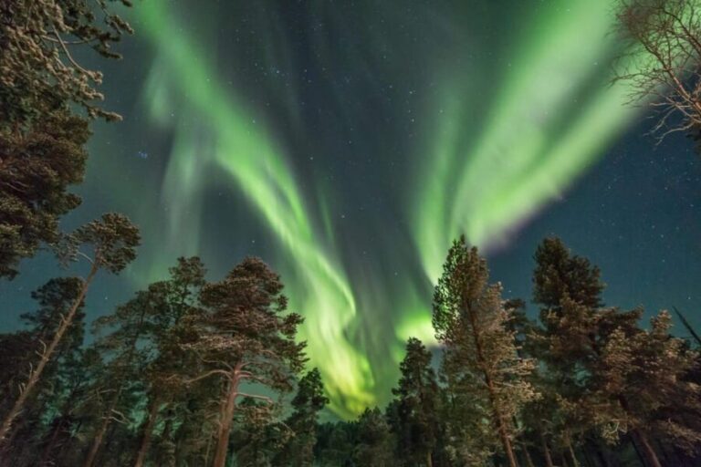 Rovaniemi: Snowy Forest Night Hike with Northern Lights - Final Thoughts
