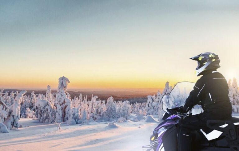 Rovaniemi: Sunrise Electric Snowmobile Tour with Snacks - What to Expect on the Sunrise Electric Snowmobile Tour