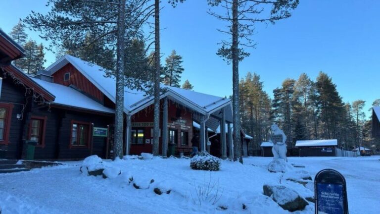 Rovaniemi: trip to the Ranua Zoo (transportation, tickets) - Noteworthy Animal Encounters