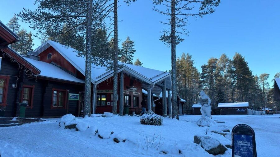 Rovaniemi: trip to the Ranua Zoo (transportation, tickets) - Noteworthy Animal Encounters