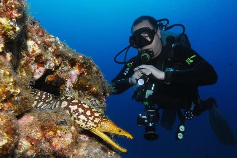 S Tenerife: Guided Boat Dive for Qualified Divers - Who Will Love This Tour?