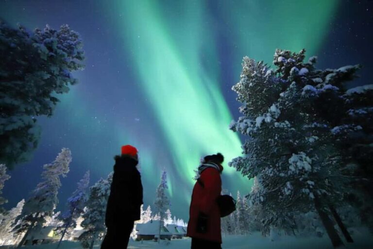 Saariselkä: Aurora Hunting & Reindeer Wilderness Experience - The Value of the Tour