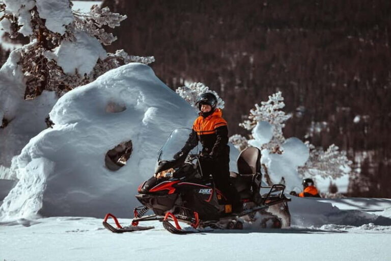 Saariselkä: One Hour Snowmobile Safari - Why This Tour Offers Great Value