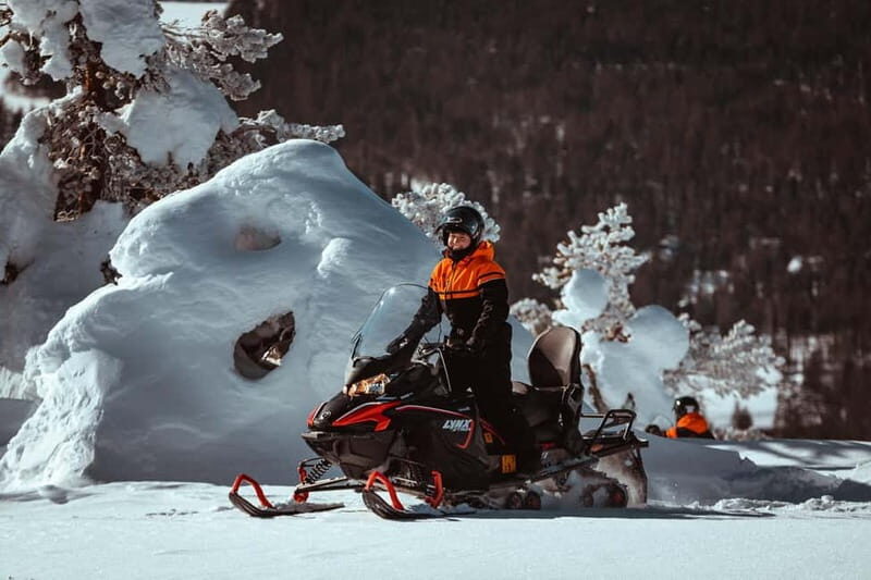 Saariselkä: One Hour Snowmobile Safari - Why This Tour Offers Great Value