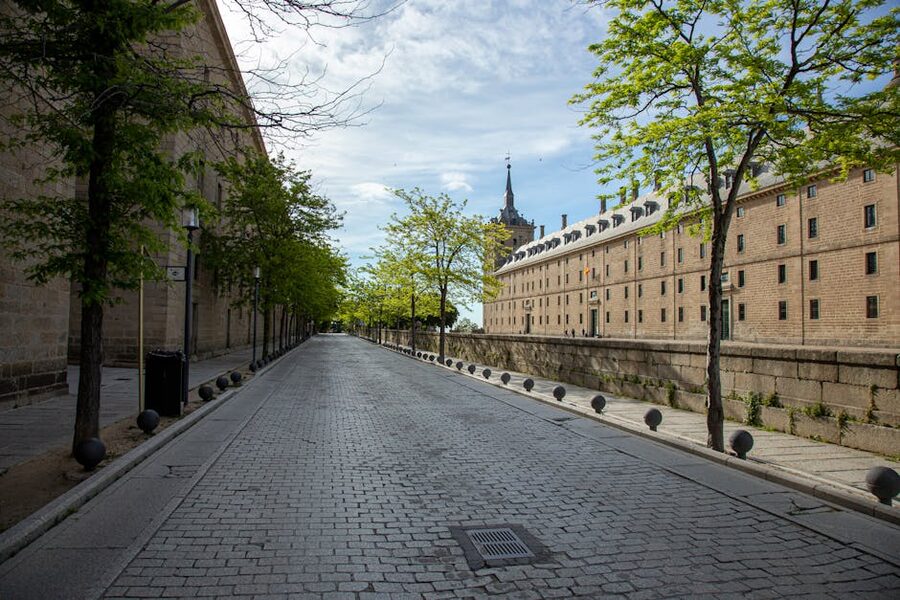 Tree-lined street in San Lorenzo de El Escorial town