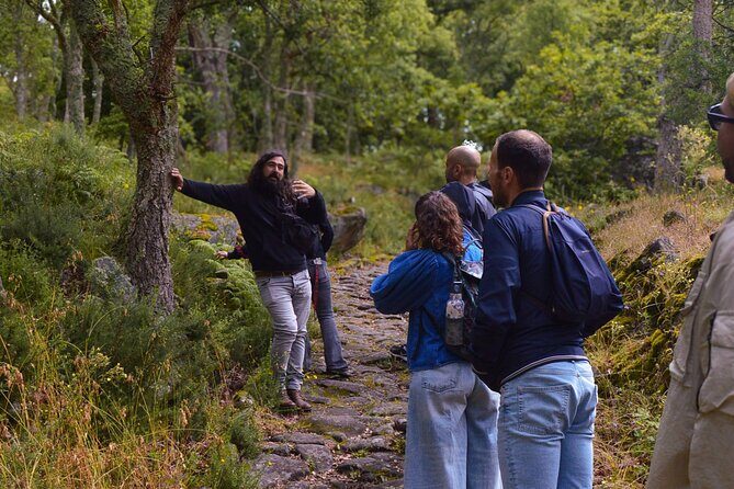 Sanfins and Briteiros Celtic Hillforts Minivan PrivateTour - Practical Tips for the Best Experience