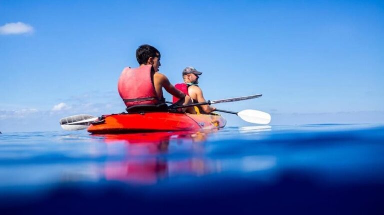 Sant Elm: Guided Kayak Sunset Tour with Picnic in a Cove - Detailed Breakdown of the Itinerary