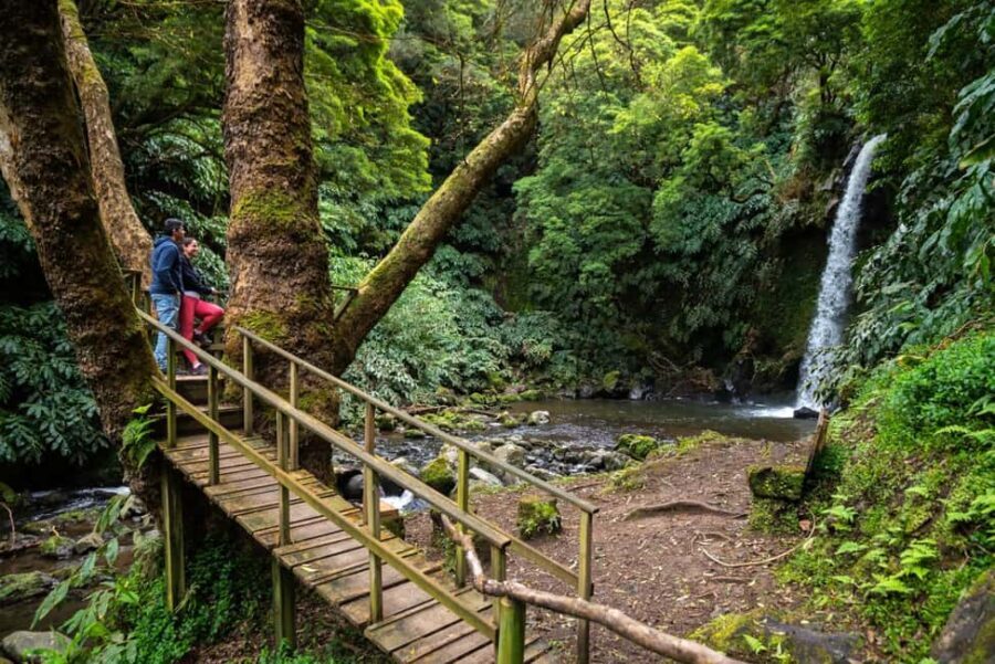 São Miguel Island: Chasing Waterfalls in the Azores Tour - Transportation and Group Size