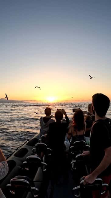 São Miguel: Sunset Boat Tour  Golden Light, Cliffs & Caves - What to Expect at Each Stop