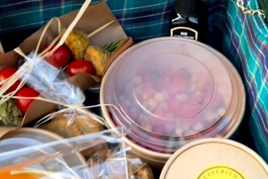 Sardinian Olive Oil tasting & Picnic among the olive trees - What This Tour Entails and Why It Matters