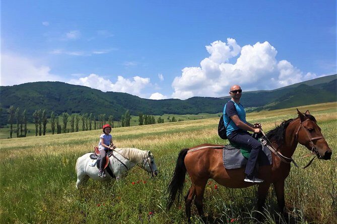 Scenic Trail Rides - FAQ