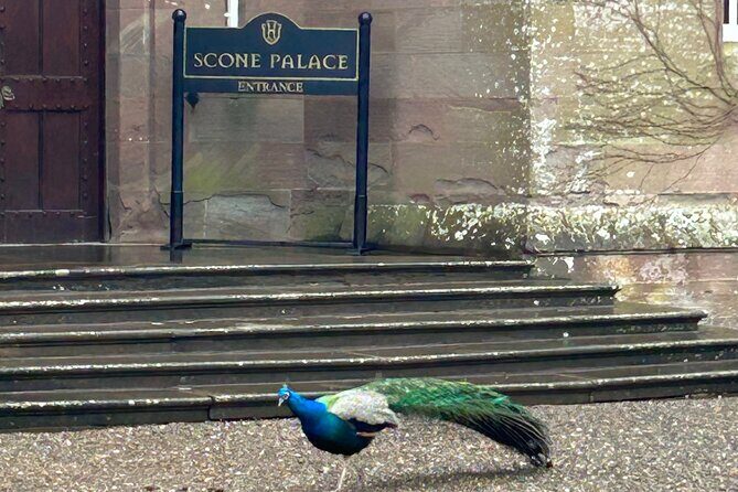 Scone Palace, Nature, Pitlochry, Whisky Experience from Glasgow - Transportation and Practical Details