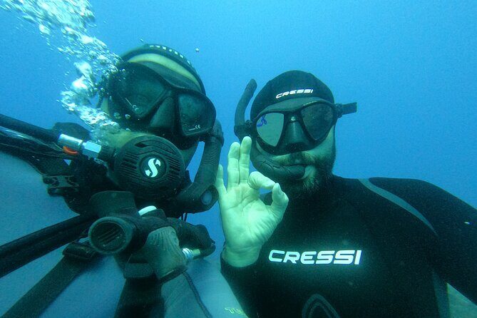 Scuba Diving try dive in Fuerteventura - Why the Price Reflects Value