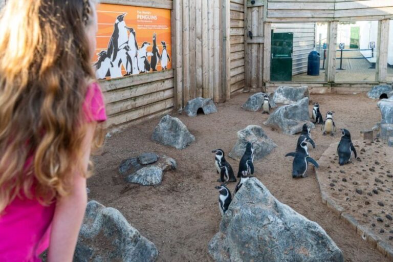 Sea Life Hunstanton - Who Will Love This Experience?