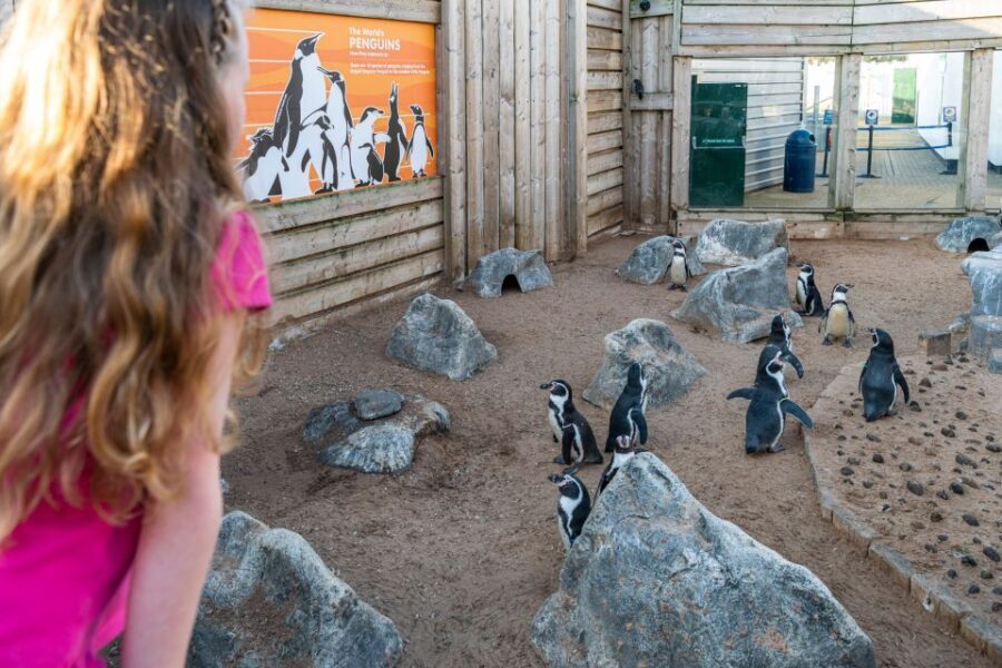 Sea Life Hunstanton - Who Will Love This Experience?
