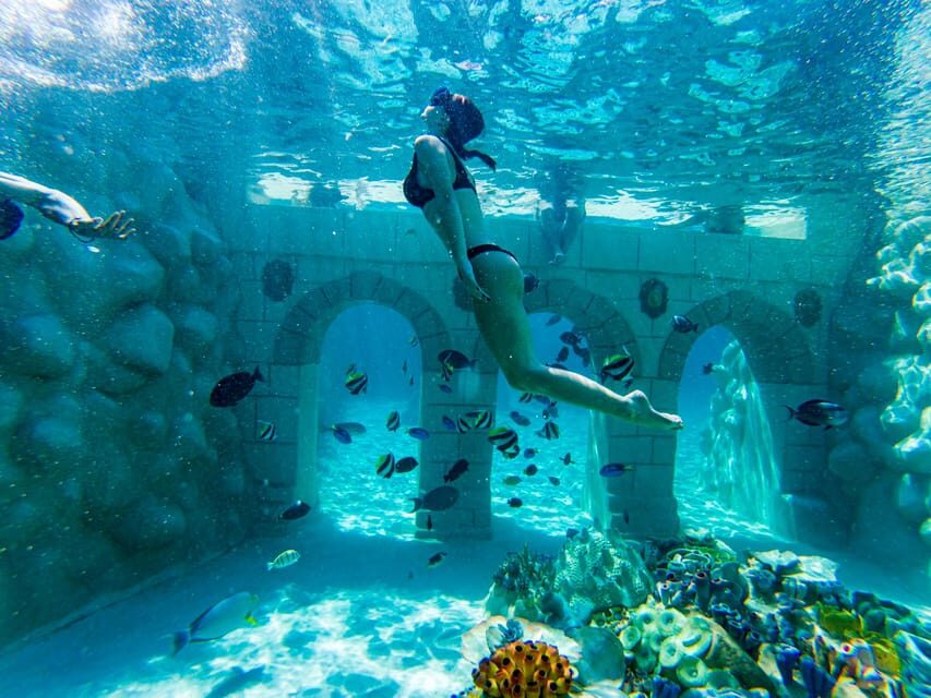 Seapark: Swimming in Pool Aquarium with Authentic Creatures - The Journey to Sealanya Seapark