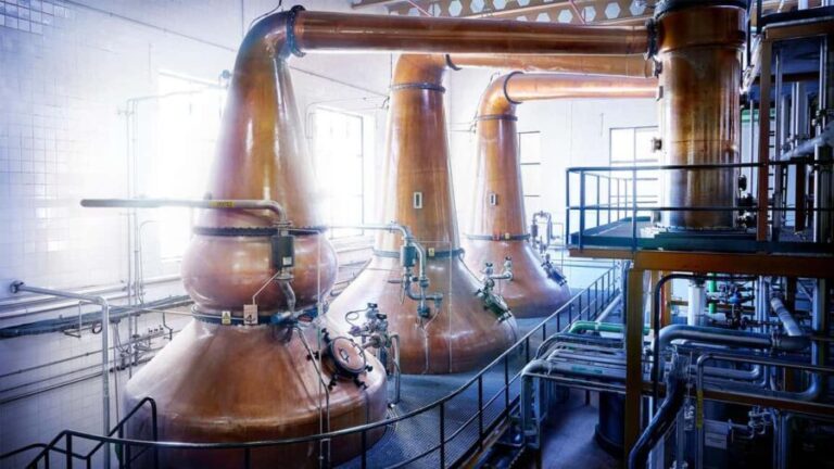 Segovia: Guided tour of the DYC Distillery with whiskey tasting - Practical Details