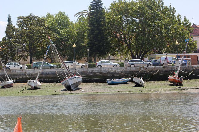 Seixal Sailing Cruise - Lunch in a typical restaurant - Practical Details & What to Expect