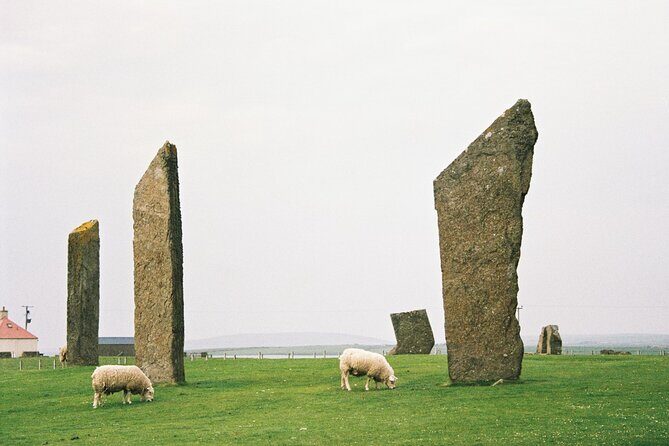Shore Excursion Kirkwall Small Group Highlights of Orkney - Who Would Love This Tour?