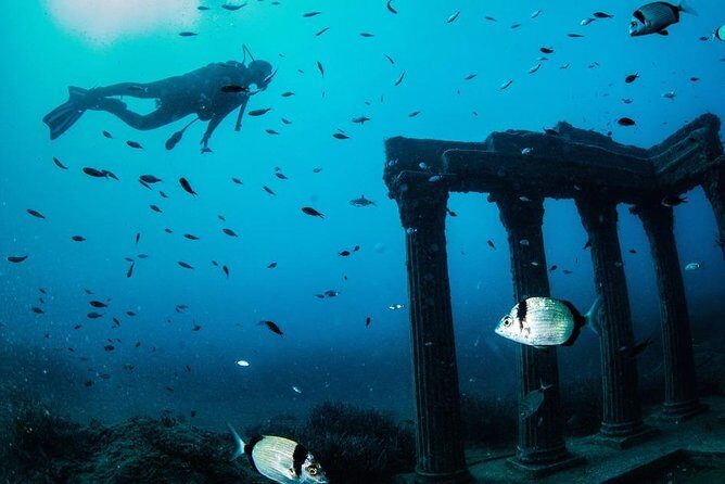 "Side: Scuba Diving in the Fascinating Underwater Museum" - The Value of This Tour